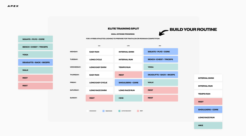 Your Ultimate Hybrid Athlete Training Program | Beginner To Elite Level | FREE Program
